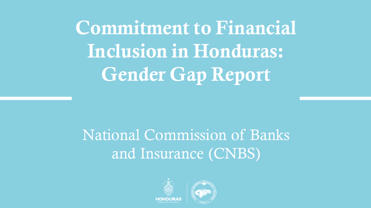 The Gender DataPlaybook for Women’sFinancial Inclusion – Inclusión ...